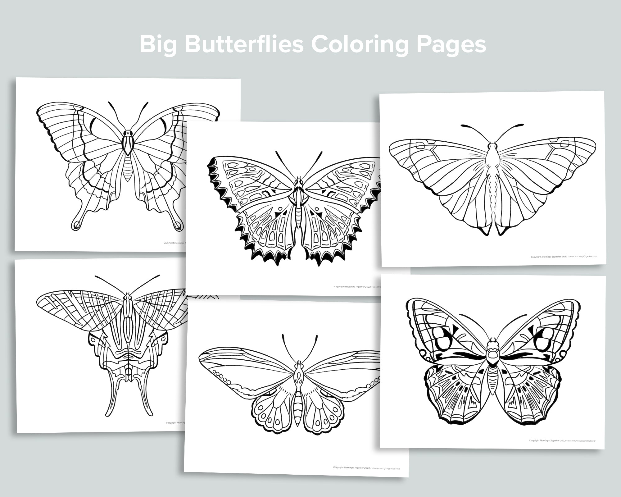 Butterfly Activity Pack – Mornings Together