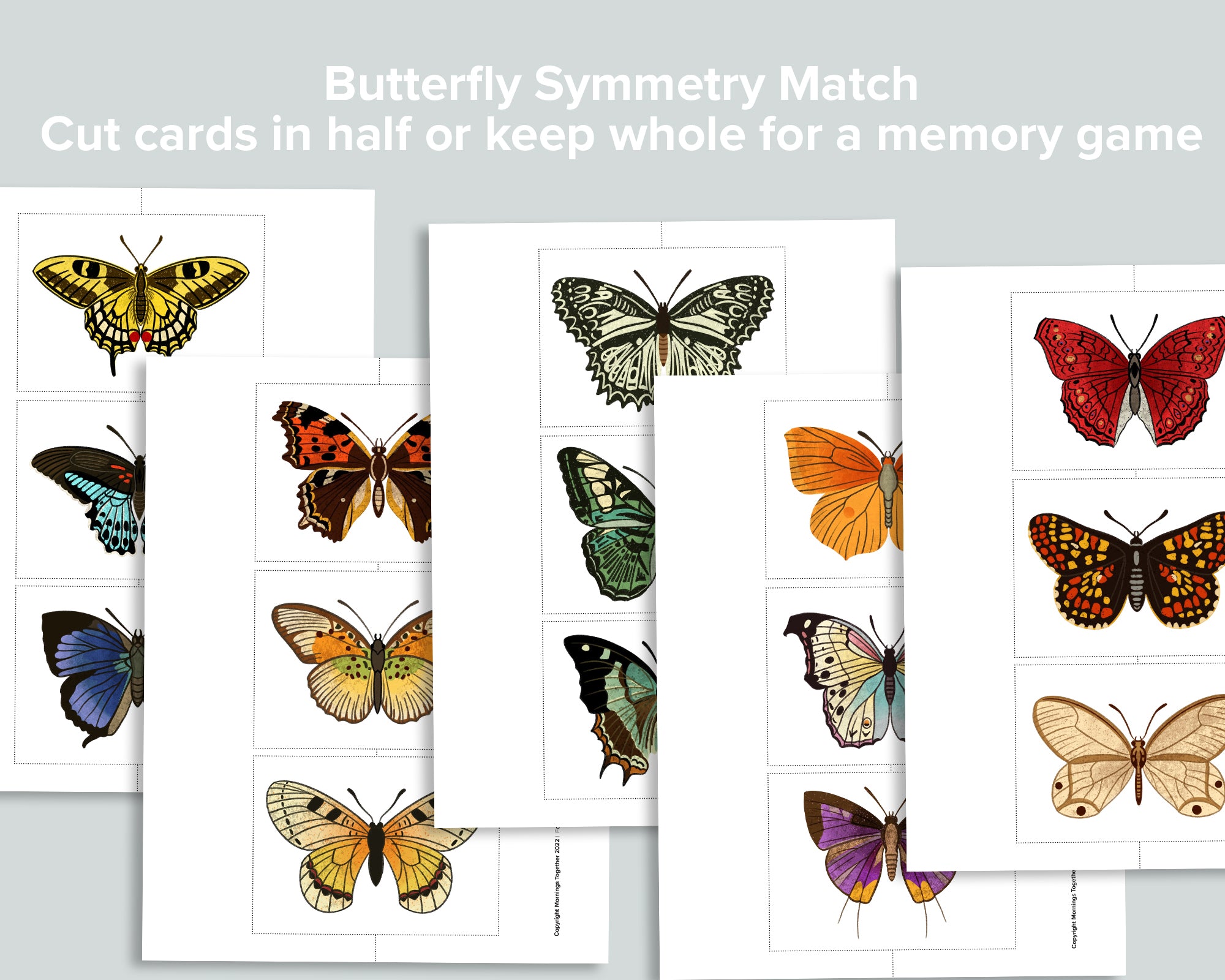 Butterfly Activity Pack – Mornings Together