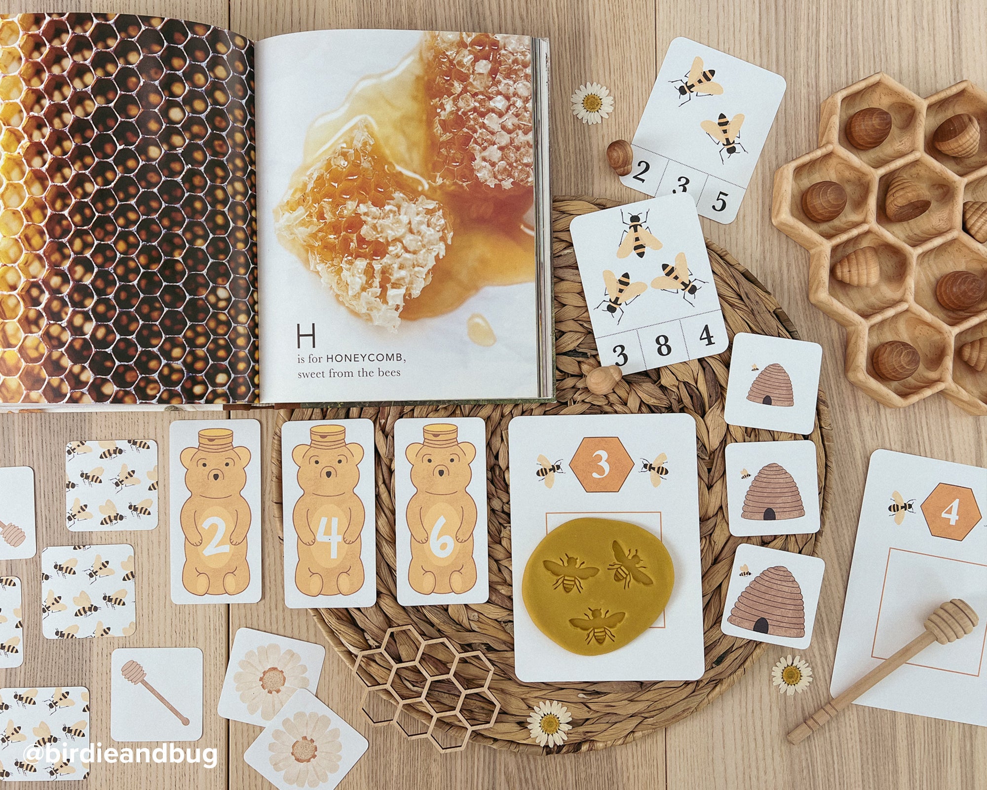 Honeybee Activity Pack – Mornings Together
