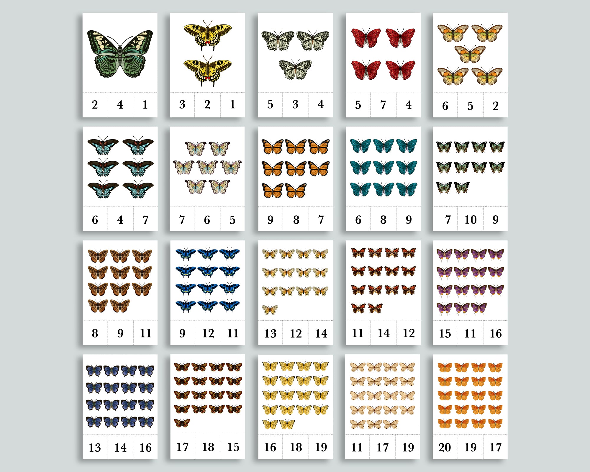 Butterfly Activity Pack – Mornings Together