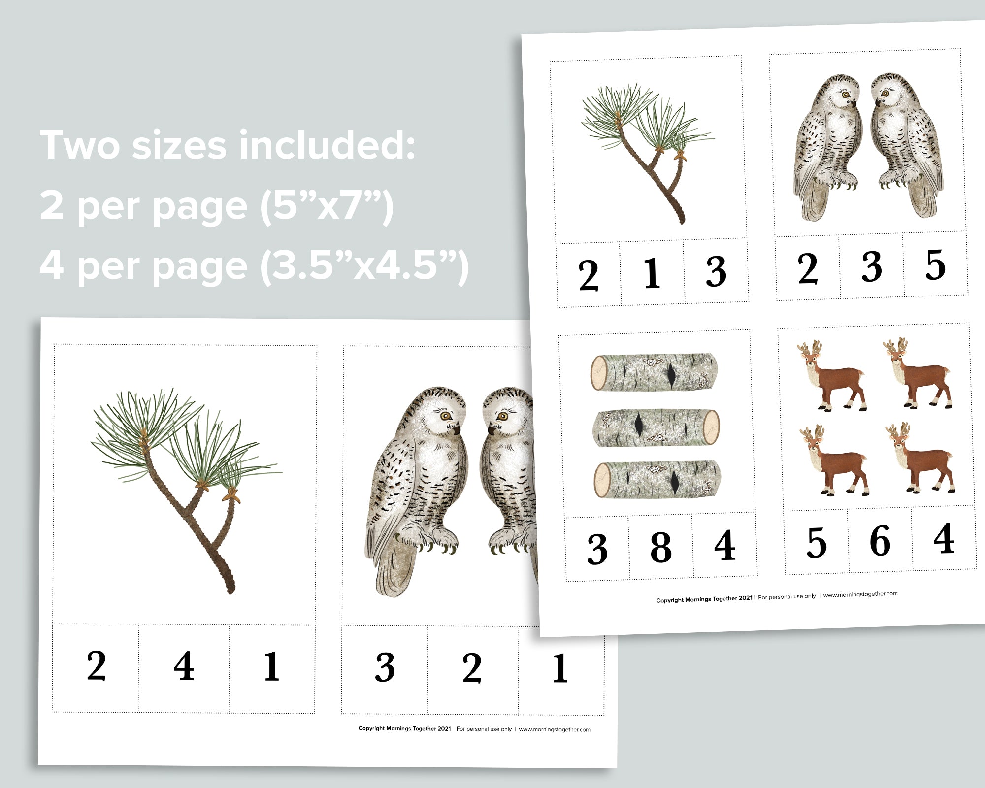 Winter Nature Bundle – Mornings Together