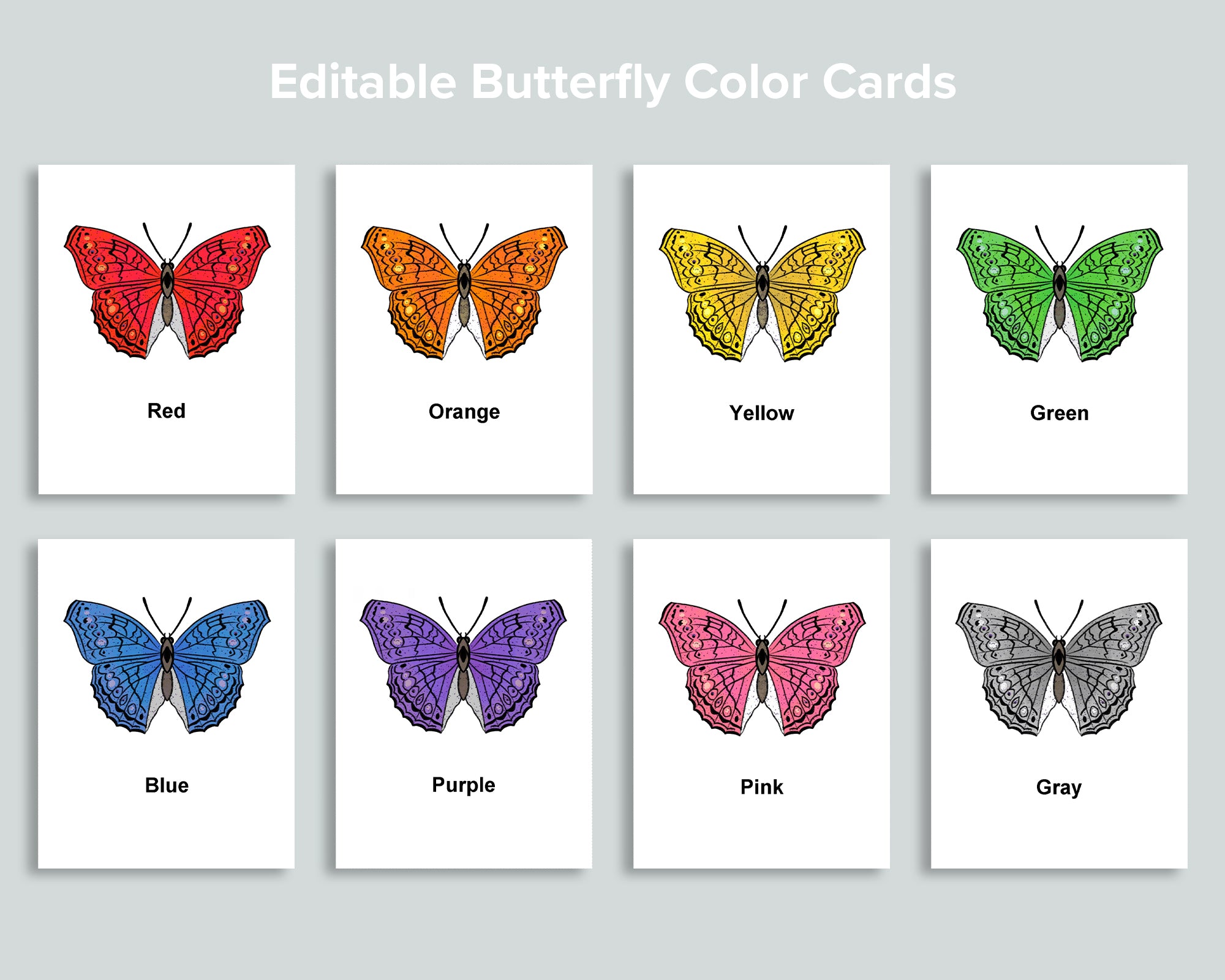 Butterfly Activity Pack – Mornings Together