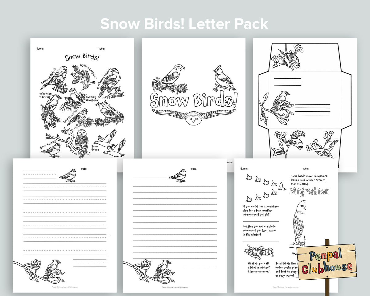 Snow Birds Letter Pack – Mornings Together
