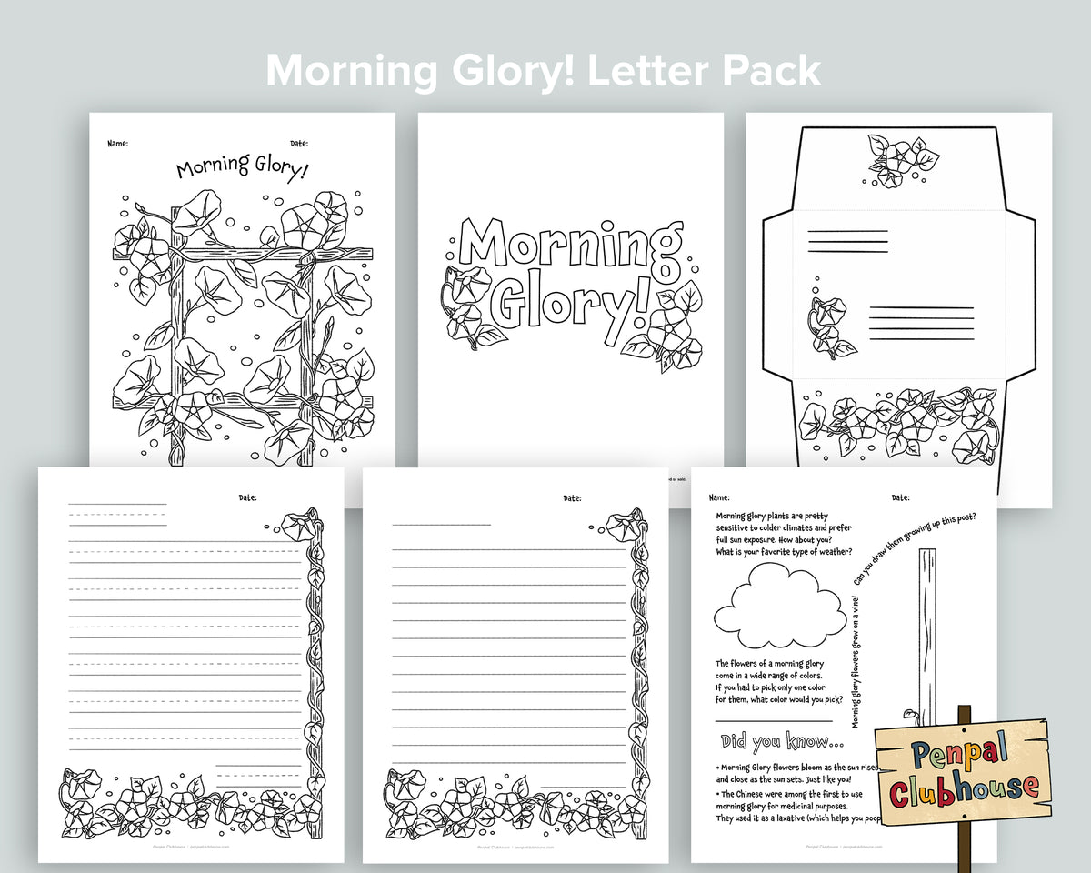 Morning Glory Letter Pack – Mornings Together