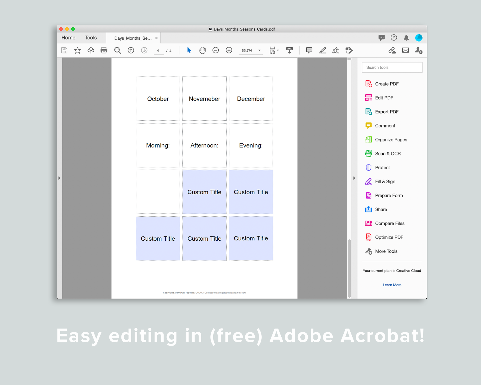 Editable Daily Rhythm Cards – Mornings Together