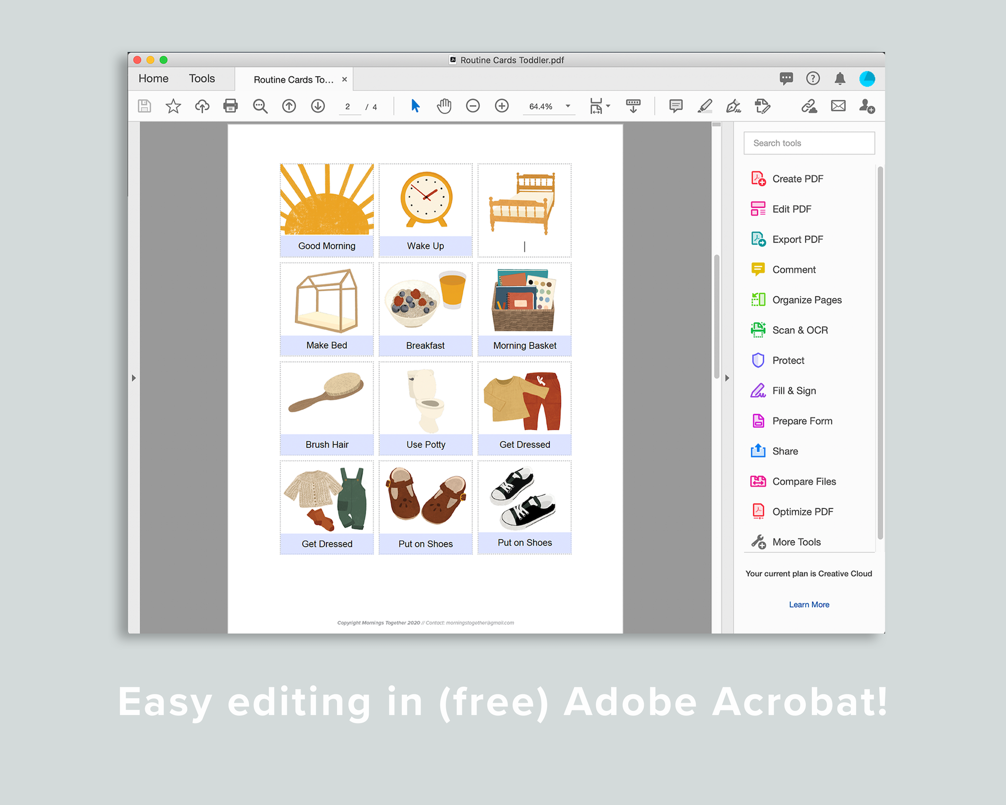Editable Daily Rhythm Cards – Mornings Together