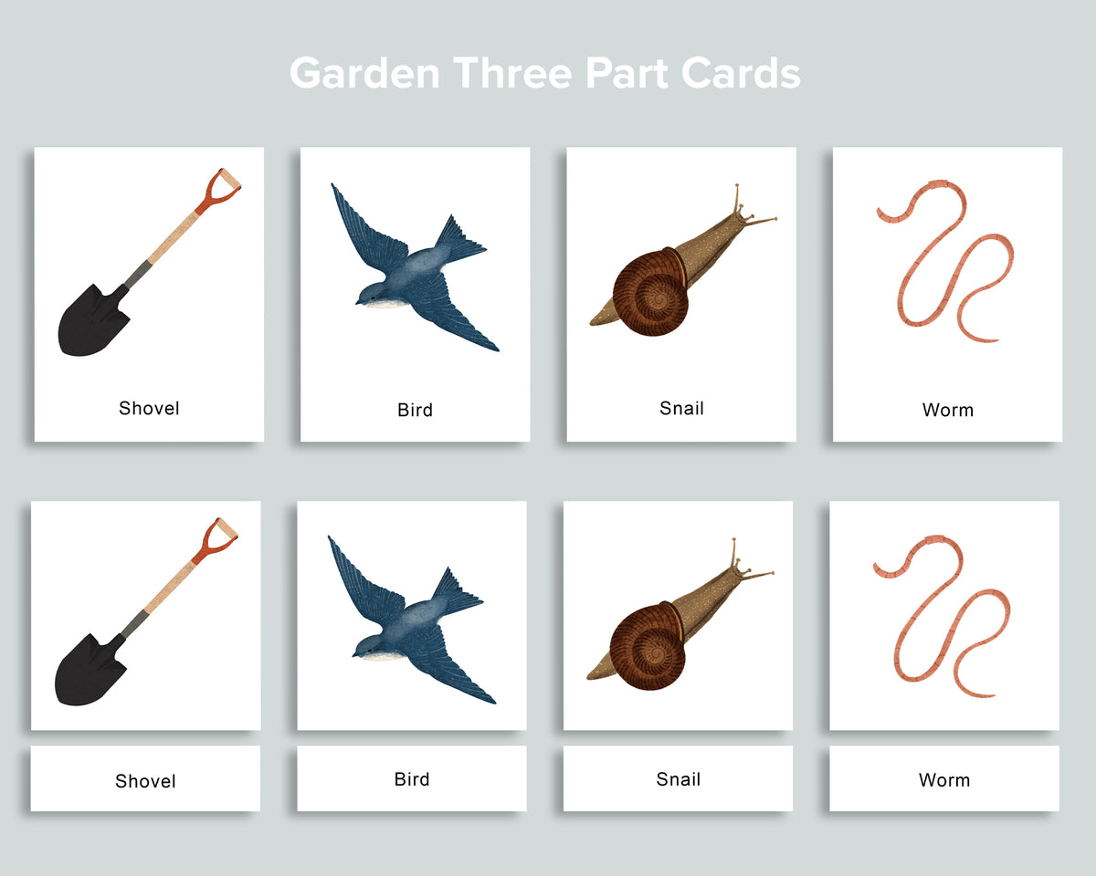 Garden Three Part Cards Freebie – Mornings Together
