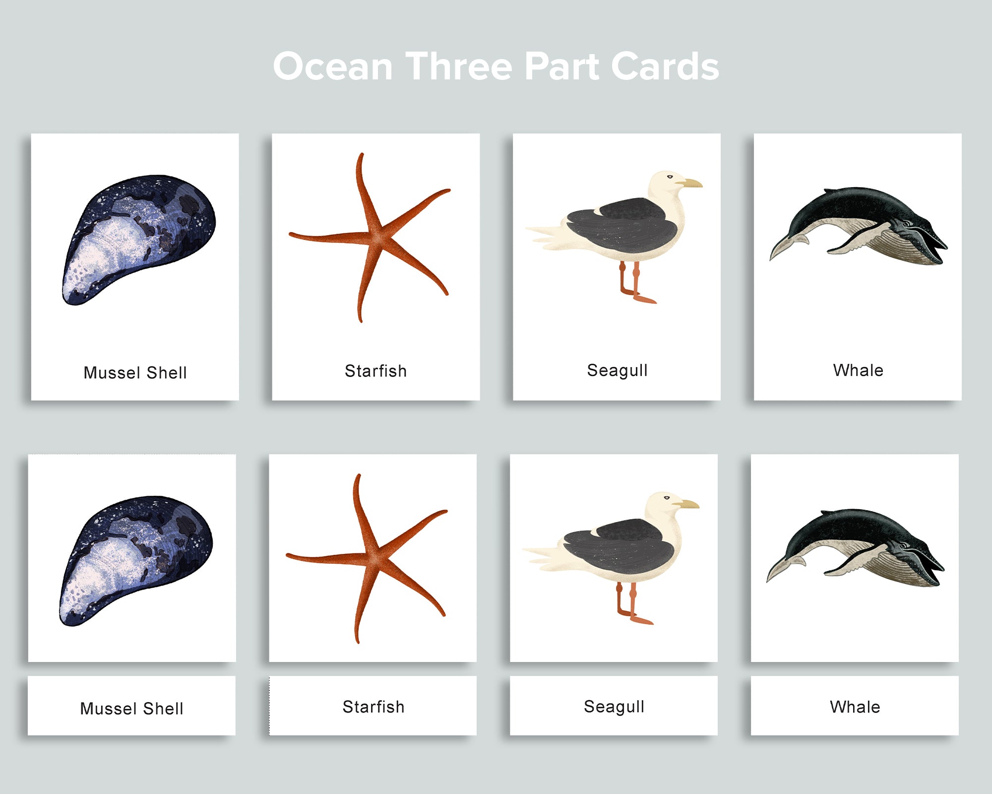 Ocean Activity Pack – Mornings Together