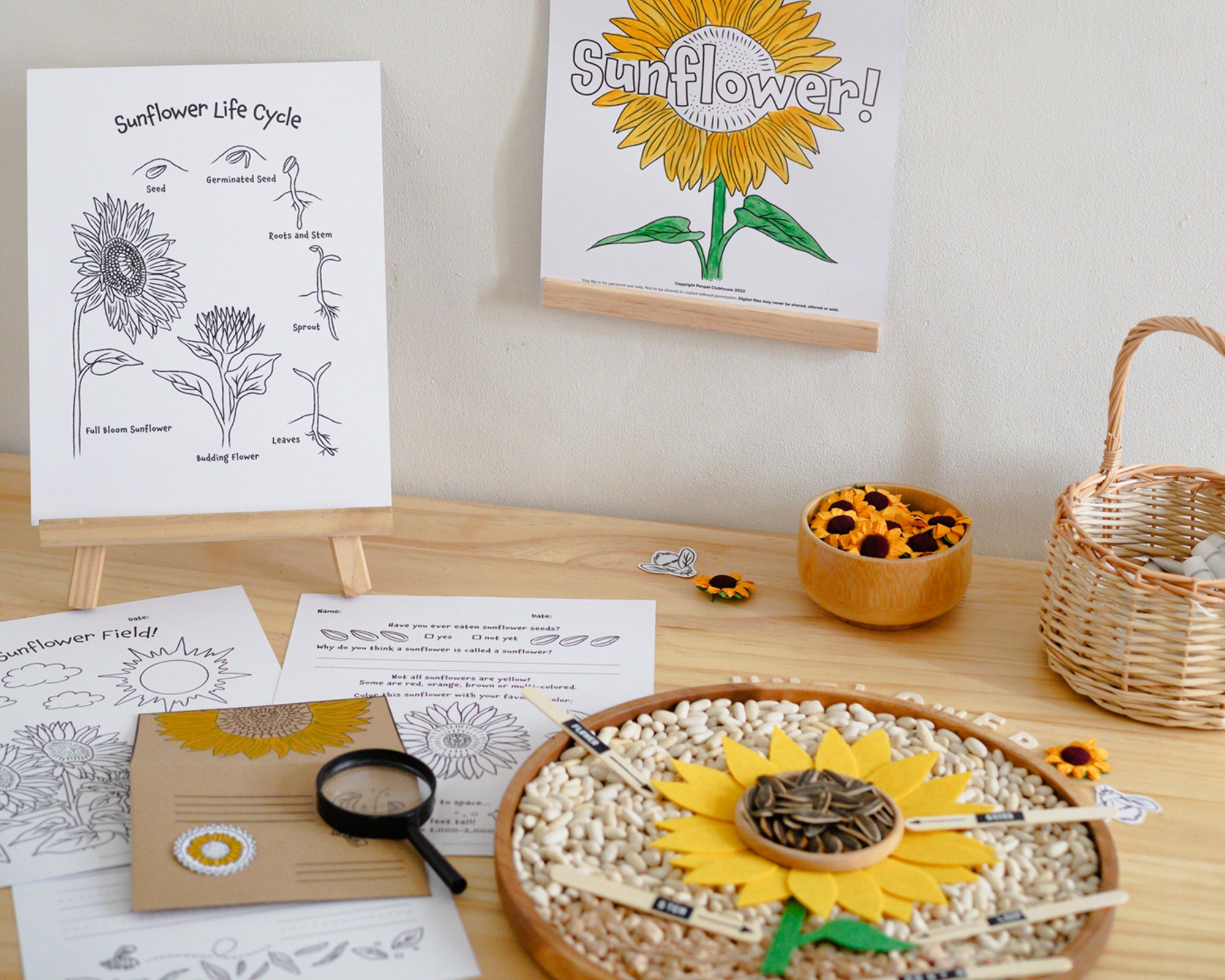 Sunflower Letter Pack – Mornings Together