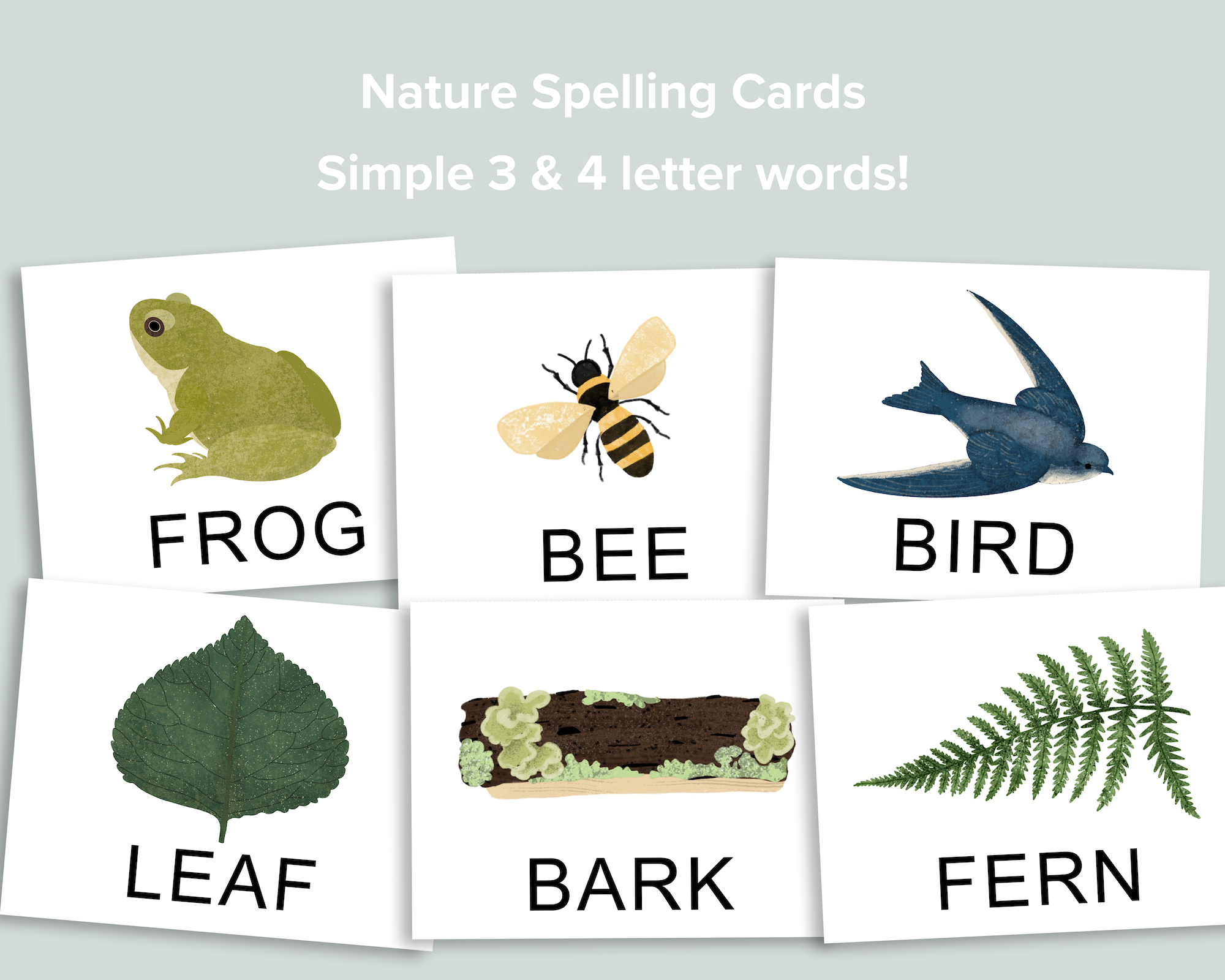 Nature Spelling Cards – Mornings Together